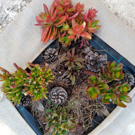 Going green is contagious!