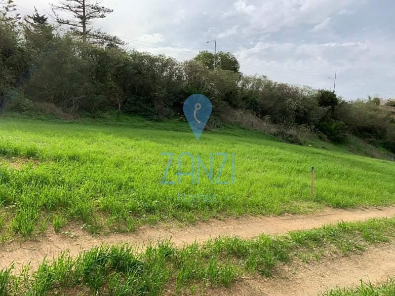 Field in Rabat - REF 60244
