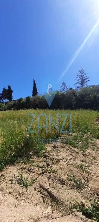 Field in Rabat - REF 60244